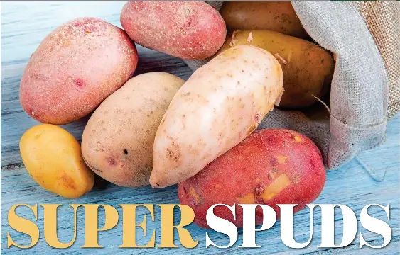SUPER SPUDS - PressReader