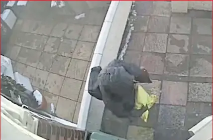 ‘He left my parcel without knocking. Moments later a thief grabbed it’ - PressReader