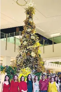 Tree lighting season - PressReader