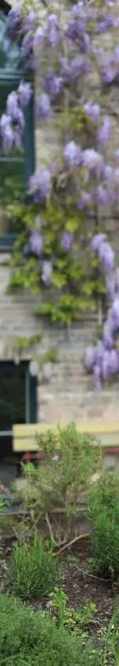 Möt Adam Aamann – nya Tareq Taylor i Trädgårdst­ider - PressReader