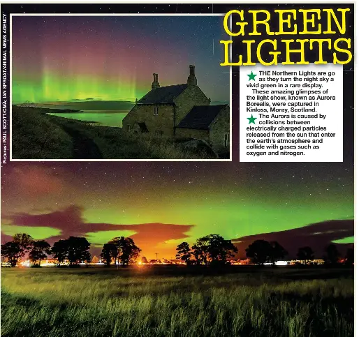 GREEN LIGHTS - PressReader