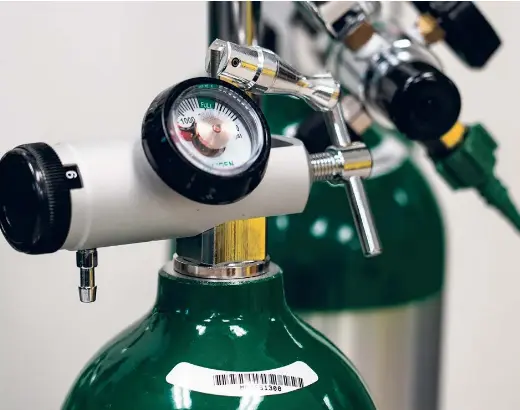 ‘Lower oxygen at high altitudes increases lifespan in ageing mice ...