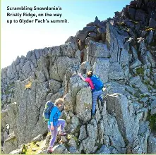 BRISTLY RIDGE - PressReader