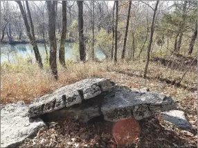 New woods to wander for visitors at Logan Springs Preserve - PressReader