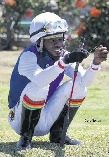 Dane Nelson reaches 300 winners in Canada - PressReader