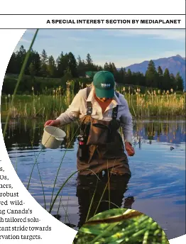 A Bold Vision for Biodiversi­ty - PressReader