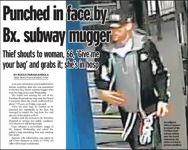 Punched in face by Bx. subway mugger - PressReader