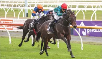 Harlech home with spring in step - PressReader