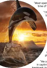 THE VERDICT IS IN - PressReader