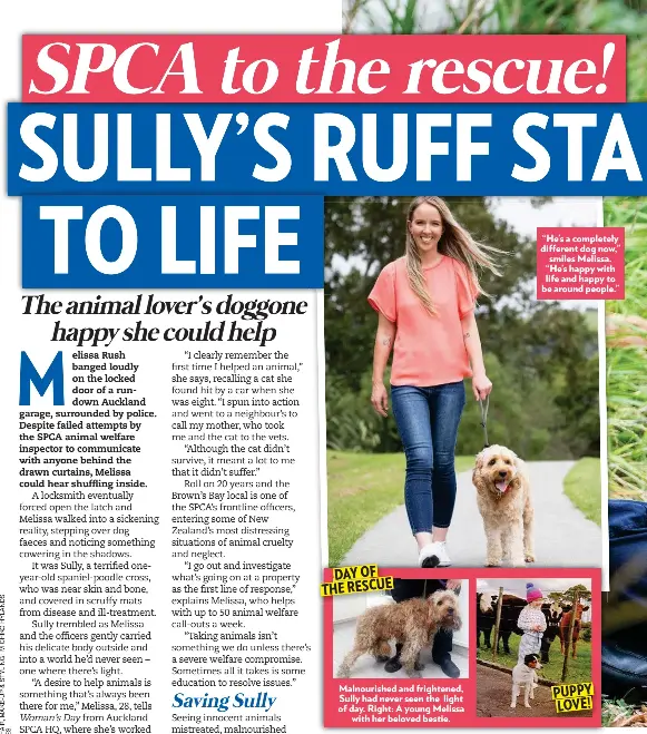 PUPPY LOVE! HOW SULLY WAS SAVED - PressReader