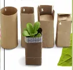 EASY STEPS TO GET ON A ROLL - PressReader