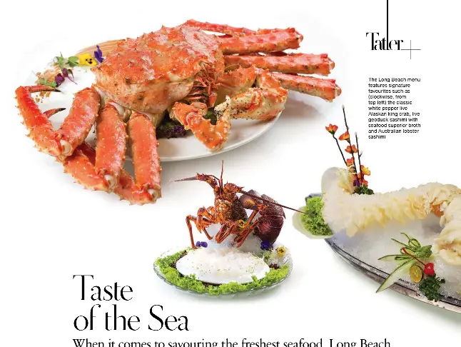 Taste of the Sea - PressReader