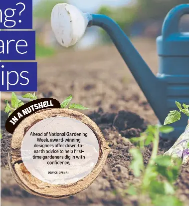 New to gardening? Chelsea pros share their top spring tips - PressReader