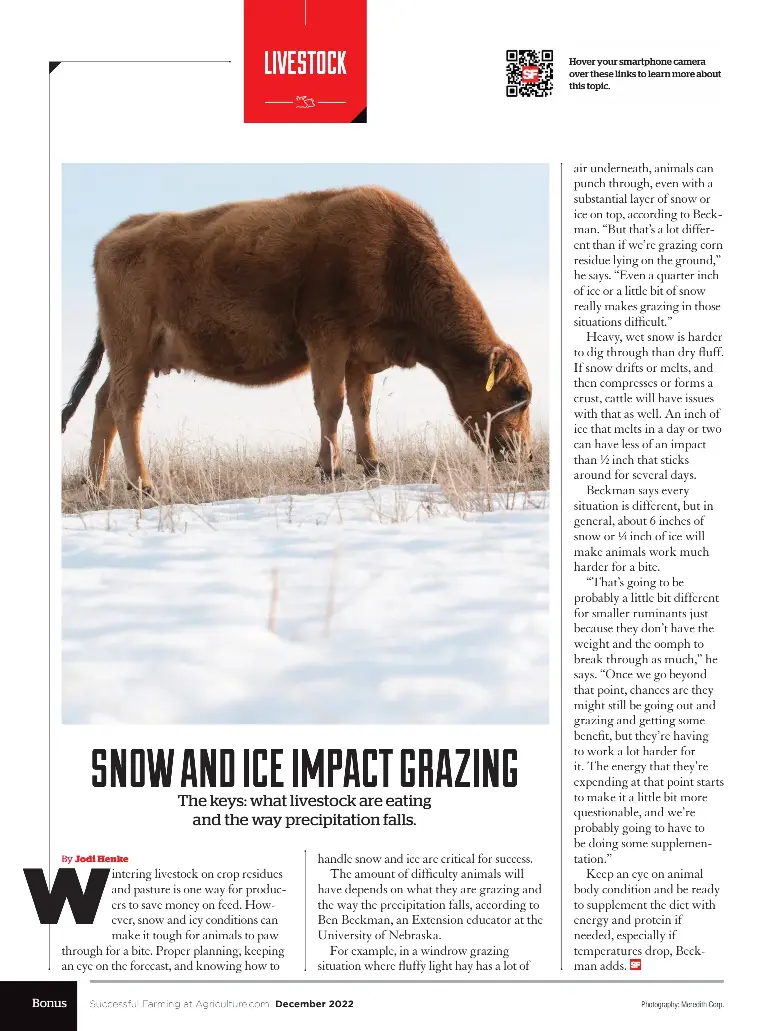 SNOW AND ICE IMPACT GRAZING - PressReader