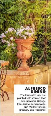 Our island oasis - PressReader