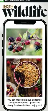 Rich pickings - PressReader