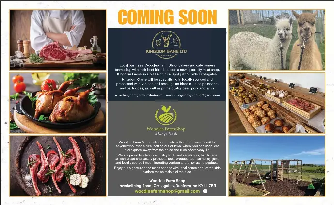 Kingdom Game set to open just outside Crossgates - PressReader