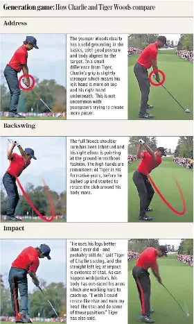 Like father, like son? Charlie is taking Tiger trail to top - PressReader