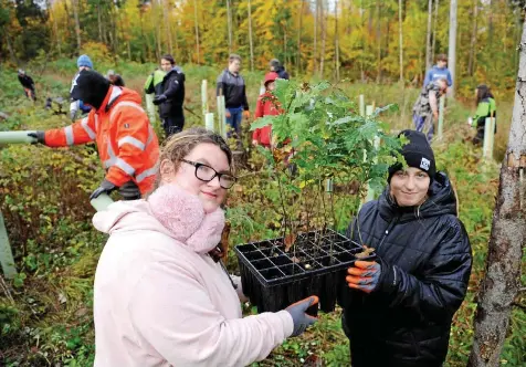 Waldretter beginnen ihr Werk - PressReader