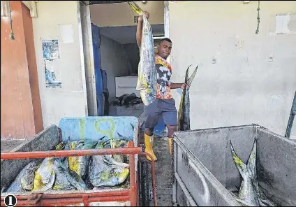 ¡Puerto de MIEDO! - PressReader