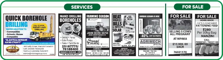 Guide on how to grow beetroot - PressReader