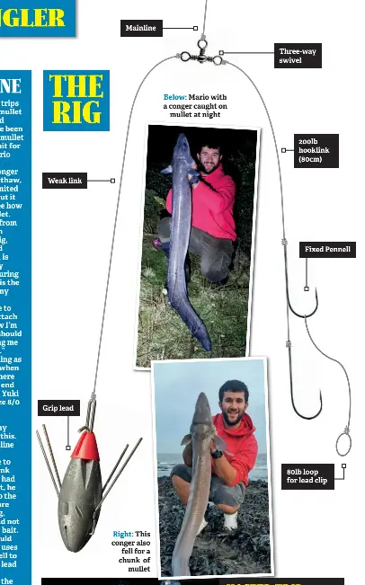 THE RIG - PressReader