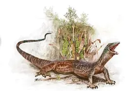 Jurassic reptile blurs line between snake, lizard - PressReader
