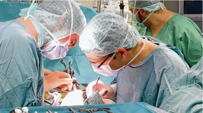 Leben retten: Das gilt bei Organspend­en - PressReader