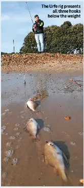 Secret rig revealed - PressReader