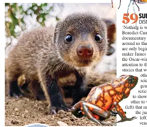 59 SUPER/NATURAL - PressReader