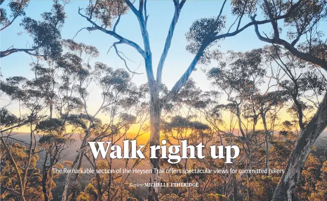 Walk right up - PressReader