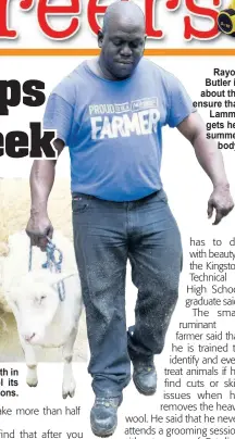 Rayon Butler keeps sheep looking sleek - PressReader