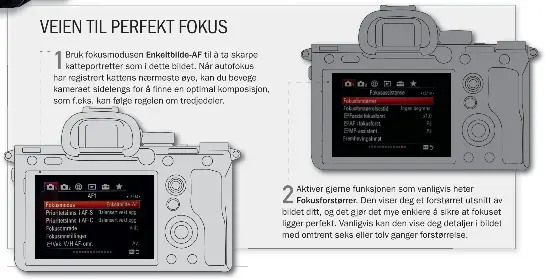 VEIEN TIL PERFEKT FOKUS - PressReader