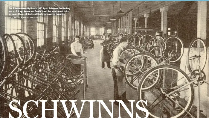 SCHWINNS AND LOSSES - PressReader