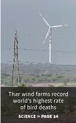 Thar wind farms record world’s highest rate of bird deaths - PressReader