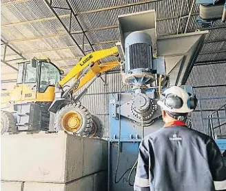 Un futuro verde es posible - PressReader