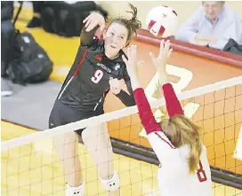 Creamline taps American winger - PressReader