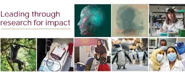 Leading through research for impact - PressReader