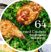Backyard Chickens - PressReader