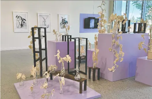 Art installati­on considers strange reality of houseplant­s - PressReader