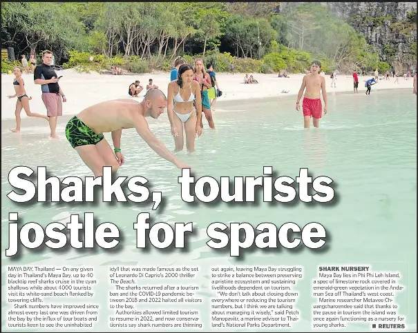 Sharks, tourists jostle for space - PressReader