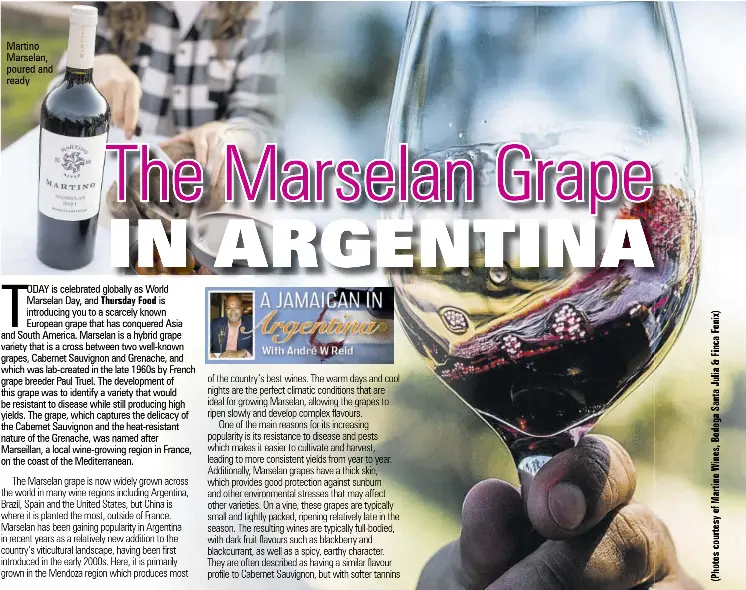 The Marselan Grape IN ARGENTINA - PressReader