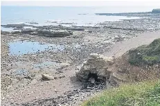 Aim of Operation Seabird to protect coastal wildlife - PressReader