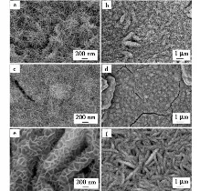 改性泡沫镍生长 NiV-LDH 纳米阵列电极材料的超­级电容器性能研究 - PressReader