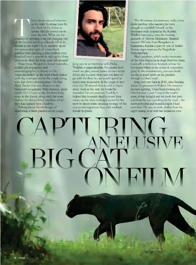 INTO THE WILD - PressReader