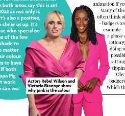 IN THE PINK - PressReader