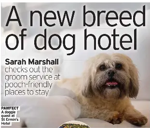 A new breed of dog hotel - PressReader