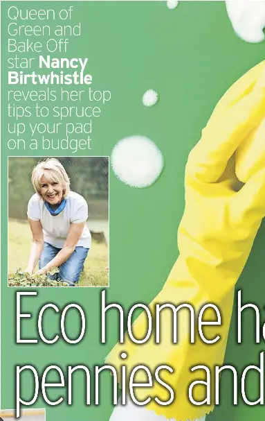 Eco home hacks to save pennies and the planet - PressReader