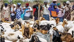 Boerbokke: Wêreld staan tou, Regering sloer - PressReader