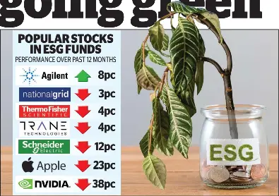 Investors see red after going green - PressReader